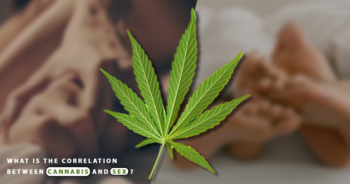 How Does Cannabis Actually Affect Sex